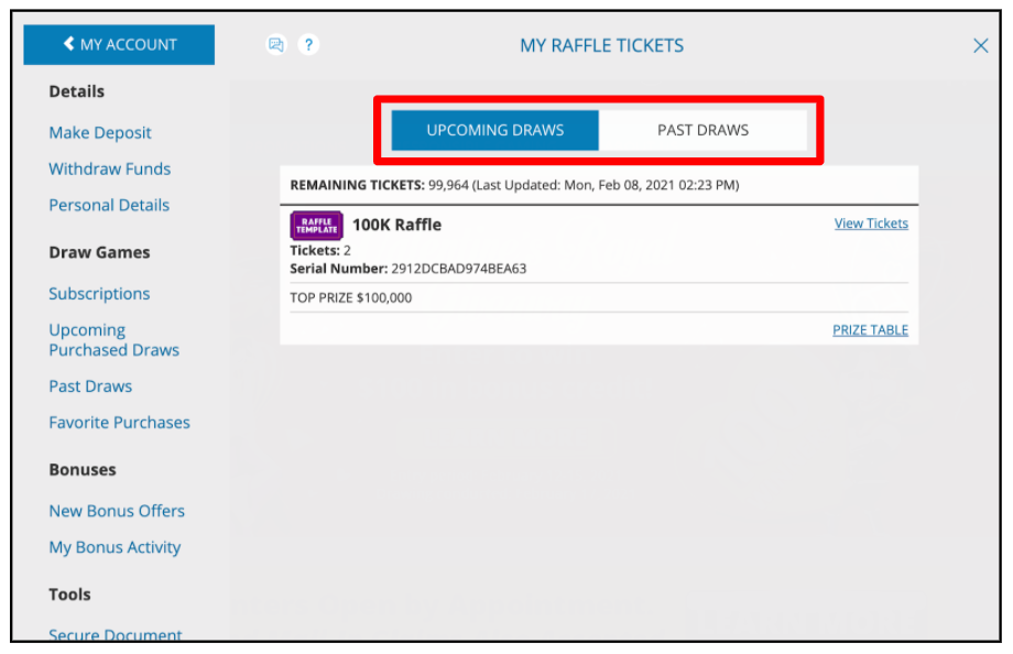 Viewing My Online Raffle Tickets | Michigan Lottery FAQ